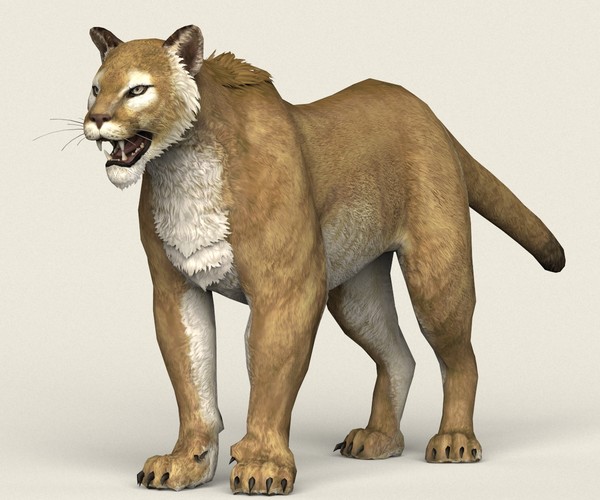 ArtStation - Puma | Resources