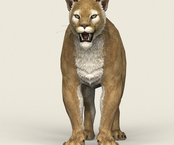 ArtStation - Puma | Resources