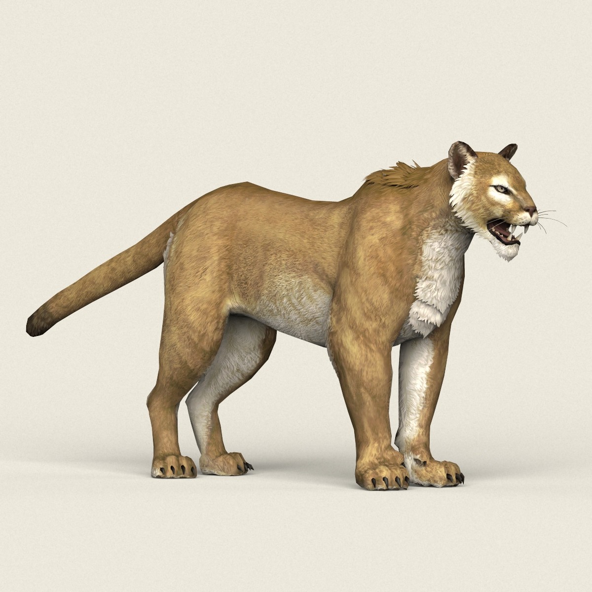 ArtStation - Puma | Resources