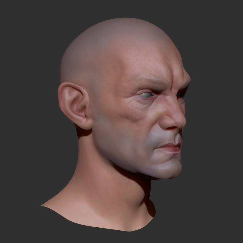 ArtStation - Stylized Head + Polypaint | Resources