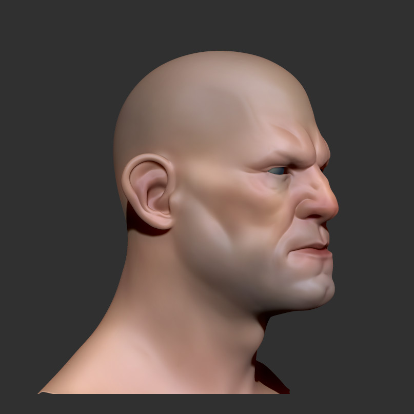 ArtStation - Stylized Head + Polypaint | Resources