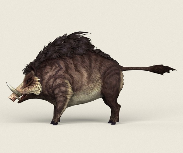 ArtStation - Wild Boar | Resources