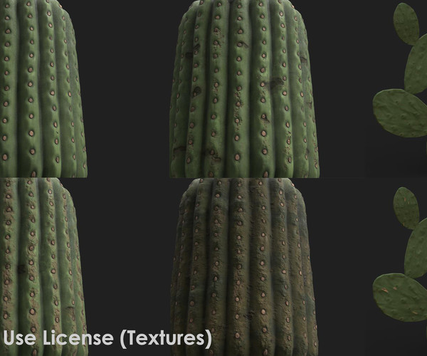 ArtStation - Procedural Cactus Generator | Resources