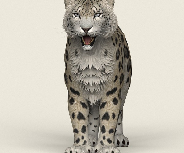 ArtStation - Snow Leopard | Resources