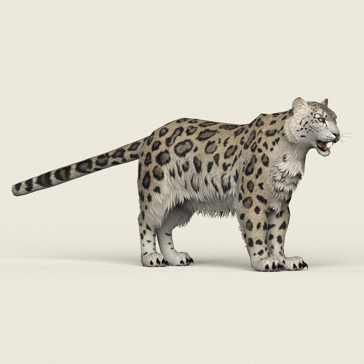 ArtStation - Snow Leopard | Resources