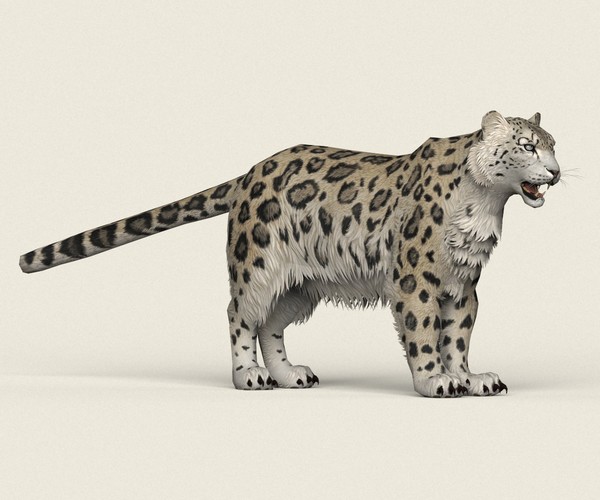 ArtStation - Snow Leopard | Resources