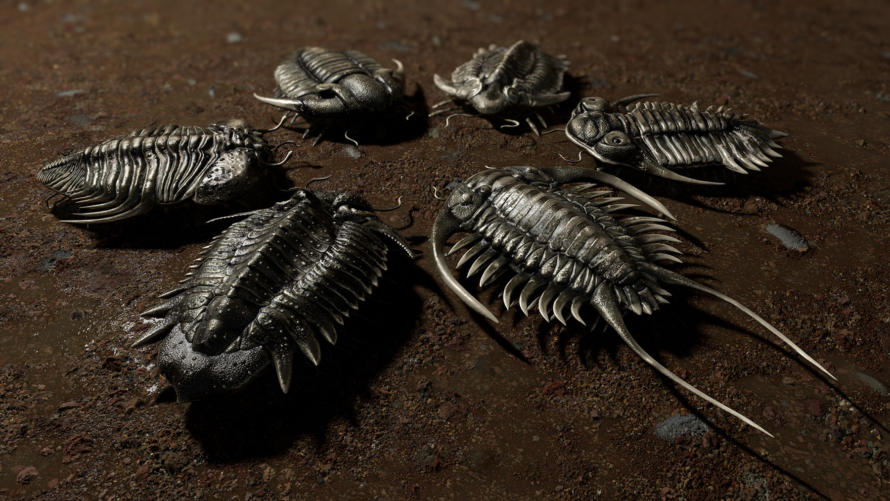 ArtStation - Trilobites Collection | Game Assets