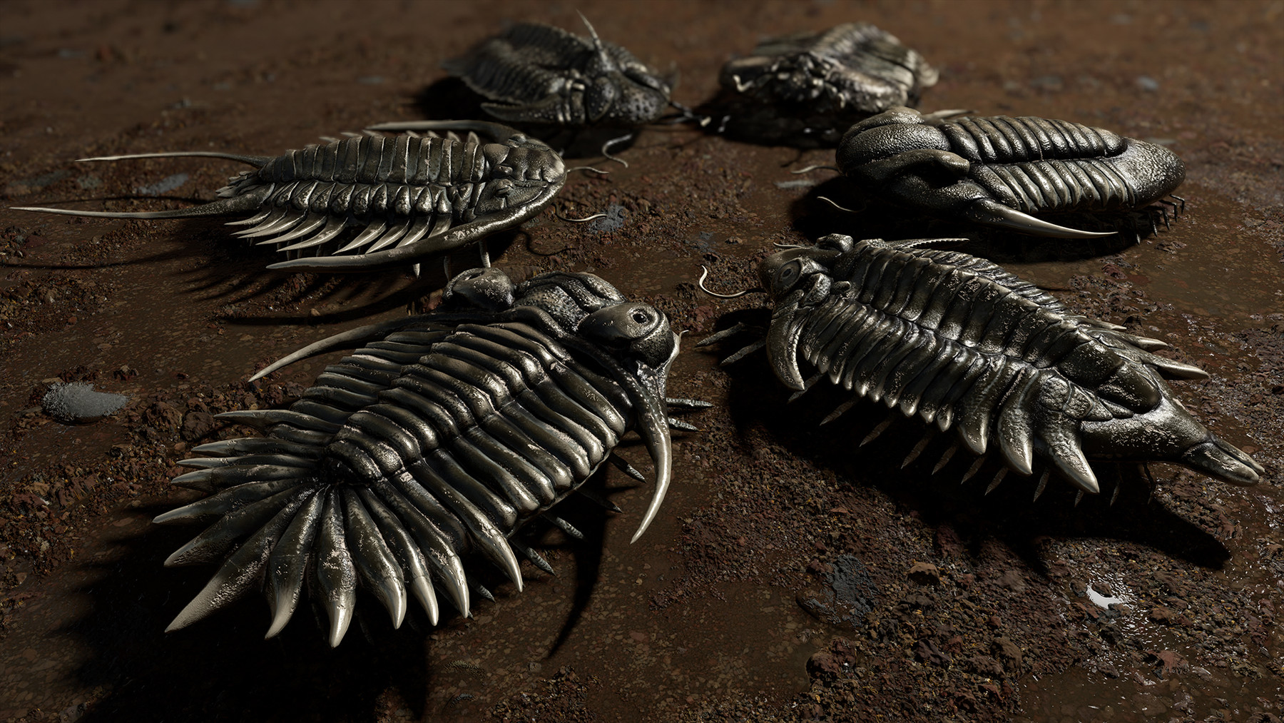ArtStation - Trilobites Collection | Game Assets