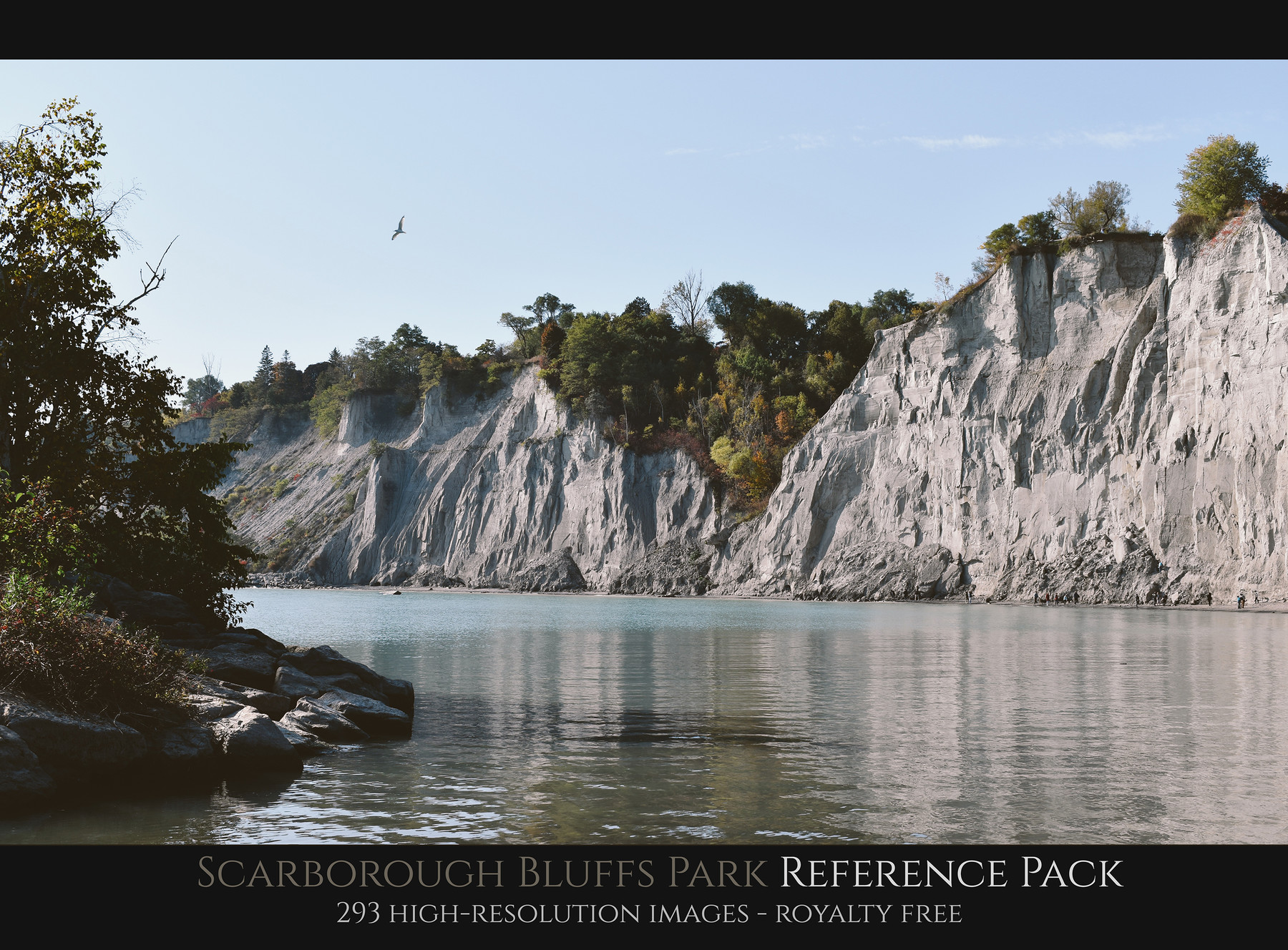 ArtStation - Scarborough Bluffs Park Reference Pack | Resources