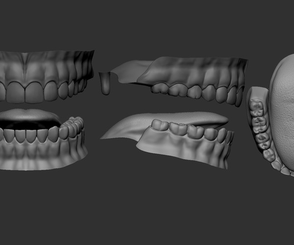 ArtStation - Teeth for production - With Gum, teeth and tongue / Game ...