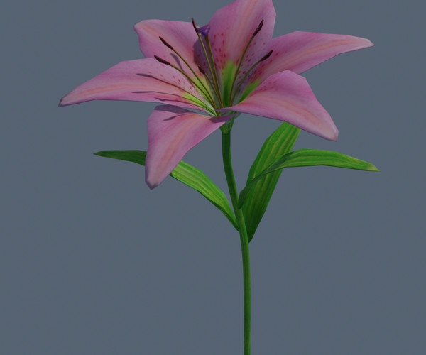 ArtStation - Lily flowers rigged animated | Game Assets