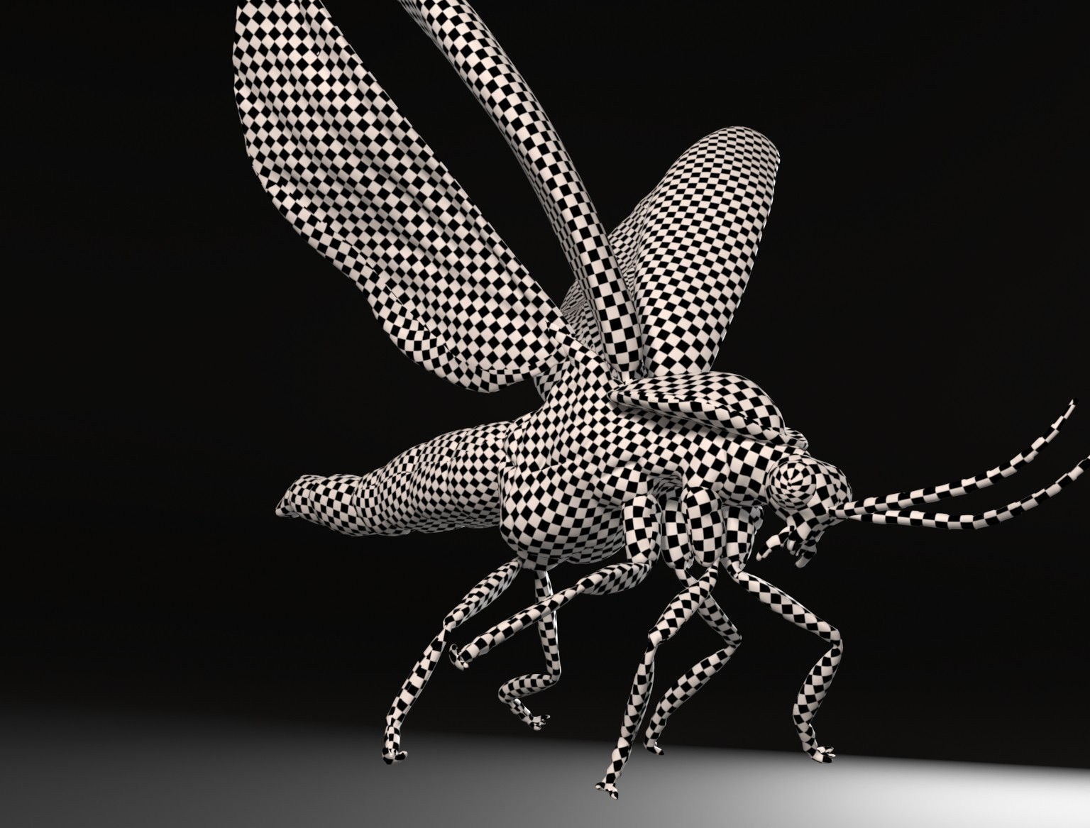 ArtStation - Firefly like insect 3D model (for education/experimentation purposes) | Resources