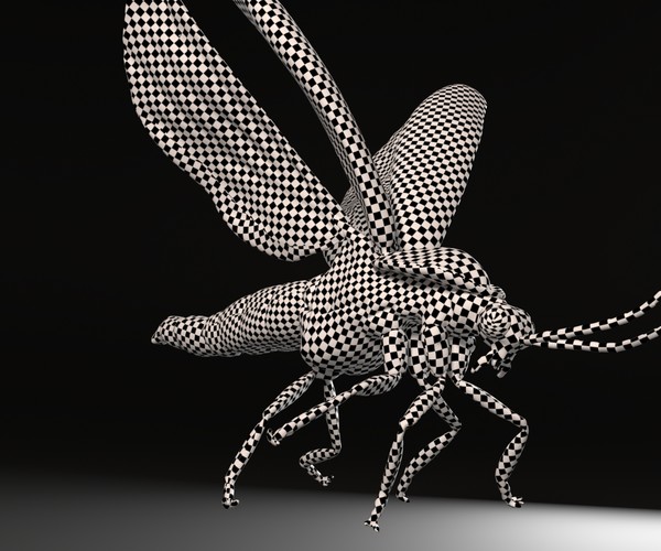 ArtStation - Firefly like insect 3D model (for education ...