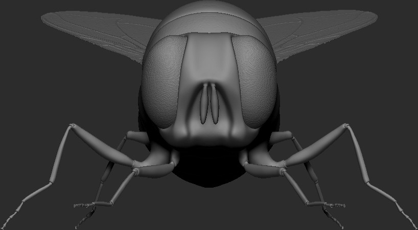 ArtStation - Housefly | Game Assets