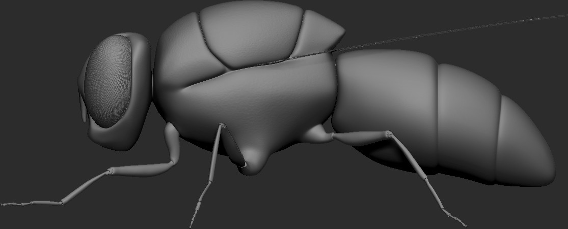 ArtStation - Housefly | Game Assets