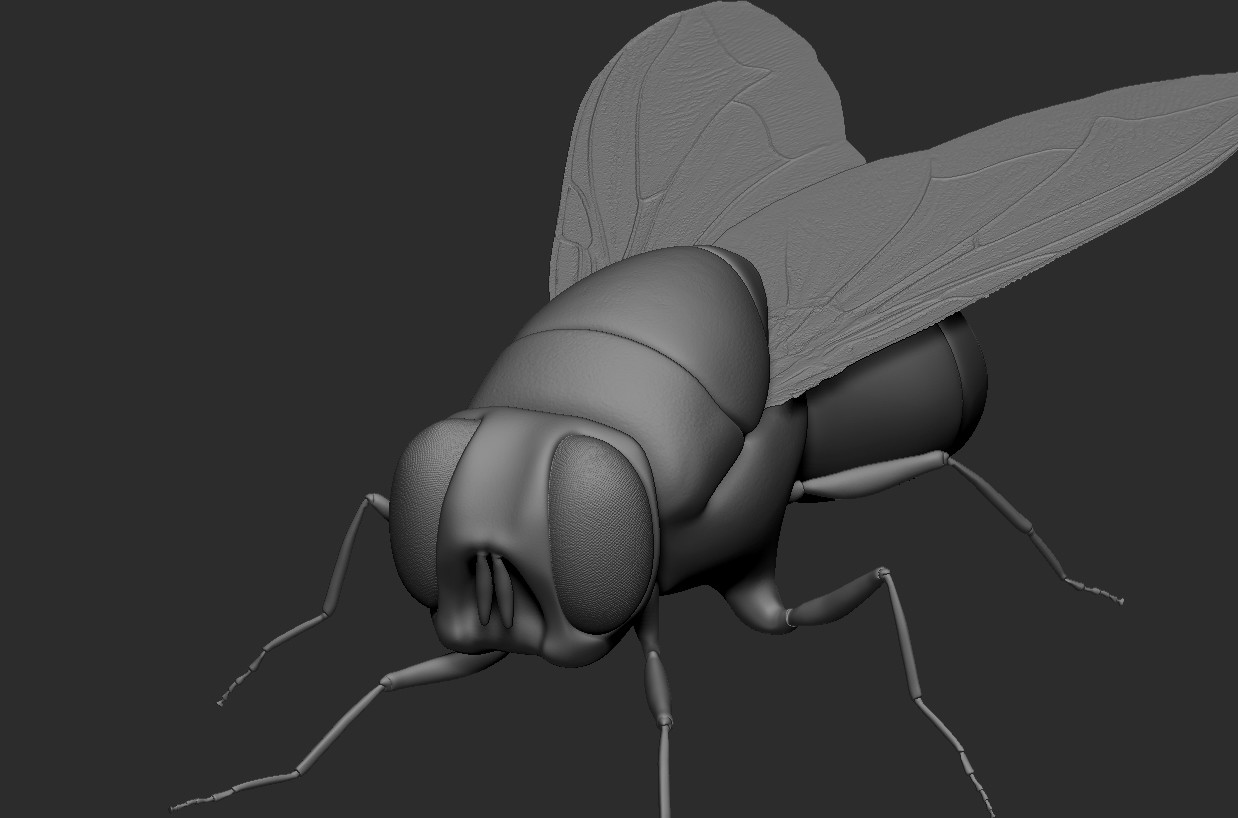 ArtStation - Housefly | Game Assets