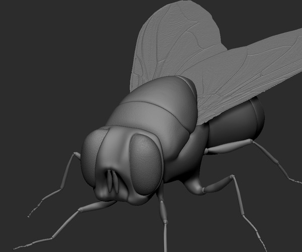 ArtStation - Housefly | Game Assets