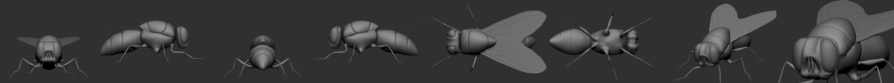 ArtStation - Housefly | Game Assets