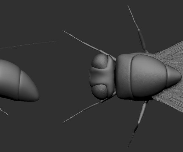 ArtStation - Housefly | Game Assets