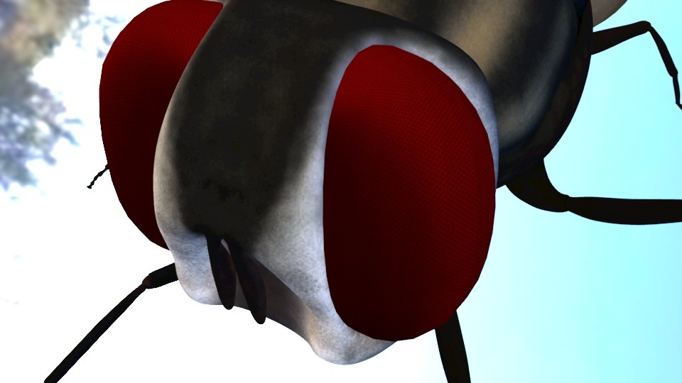 ArtStation - Housefly | Game Assets