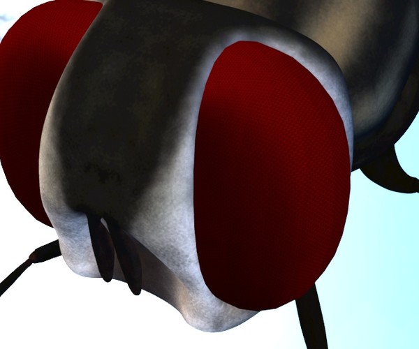 ArtStation - Housefly | Game Assets