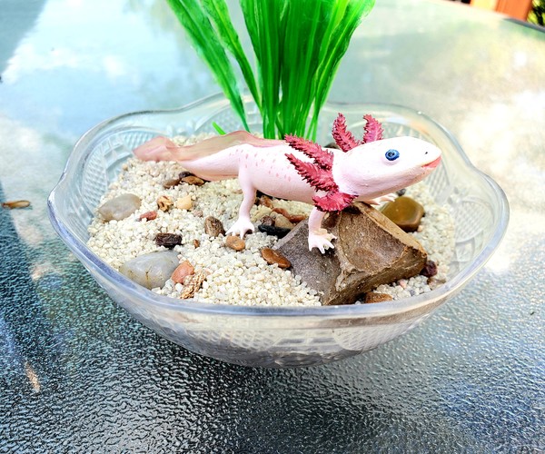 ArtStation - Axolotl 3D Print Ready | Resources