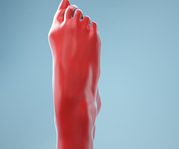 ArtStation - Crunched Toes Realistic Foot | Resources