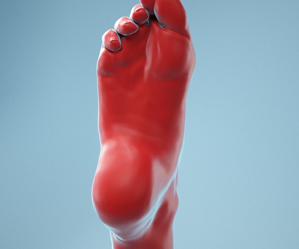 ArtStation - Crunched Toes Realistic Foot | Resources