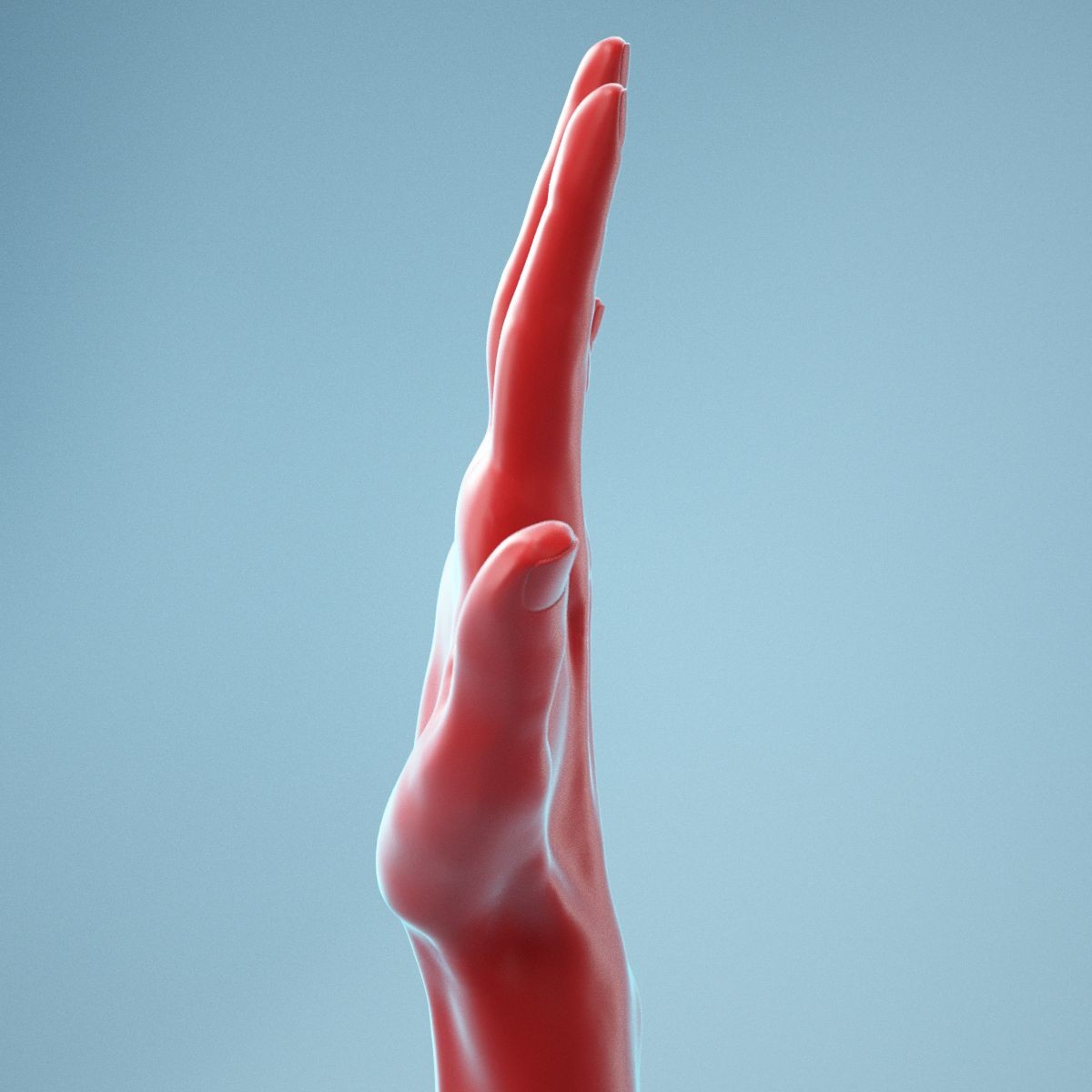 ArtStation - Standard Pose Realistic Hand | Resources