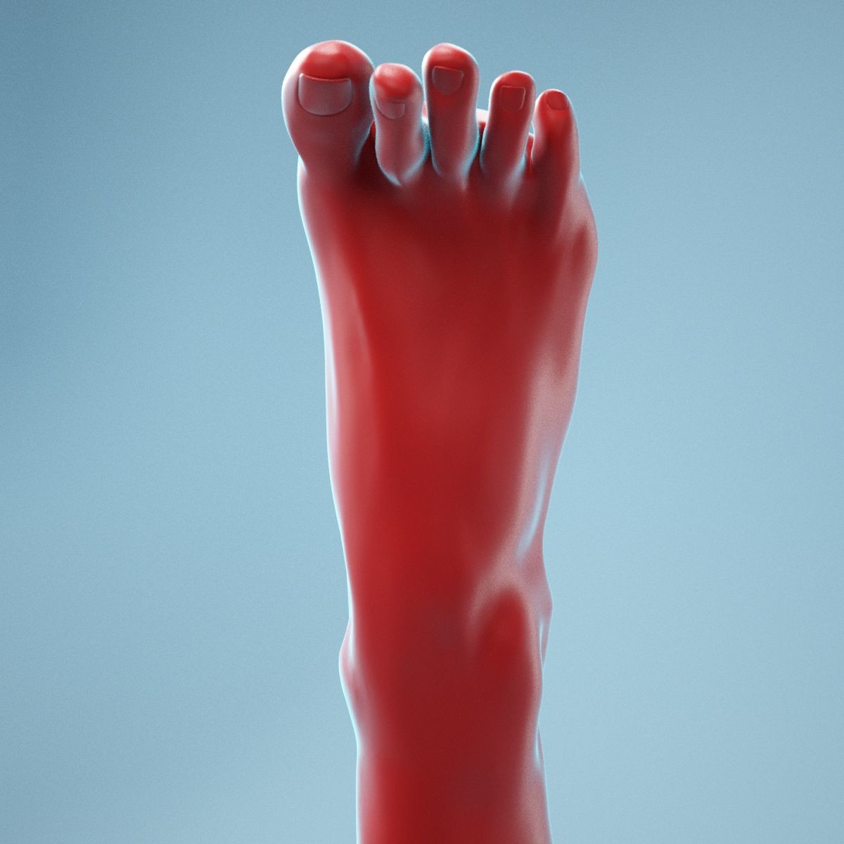 ArtStation - Tip Toes Heeled Realistic Foot | Resources