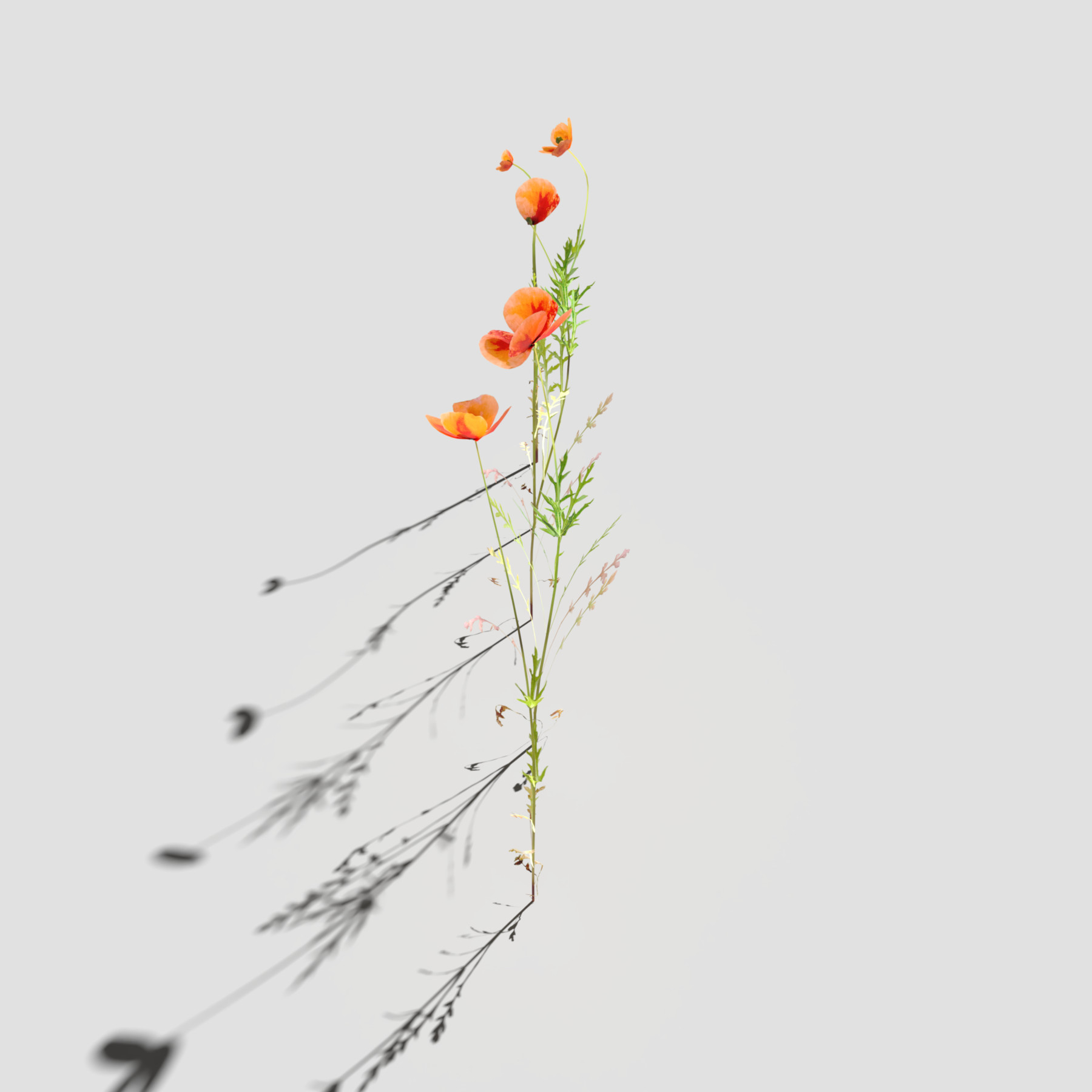 ArtStation - Poppy Pack | Resources