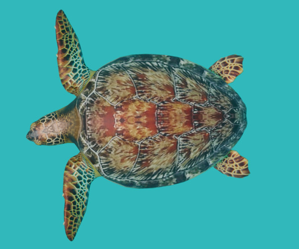 ArtStation - sea turtle | Game Assets