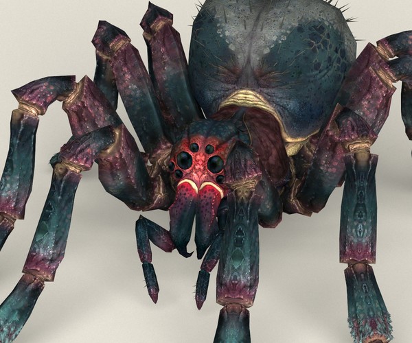ArtStation - Fantasy Spider | Resources