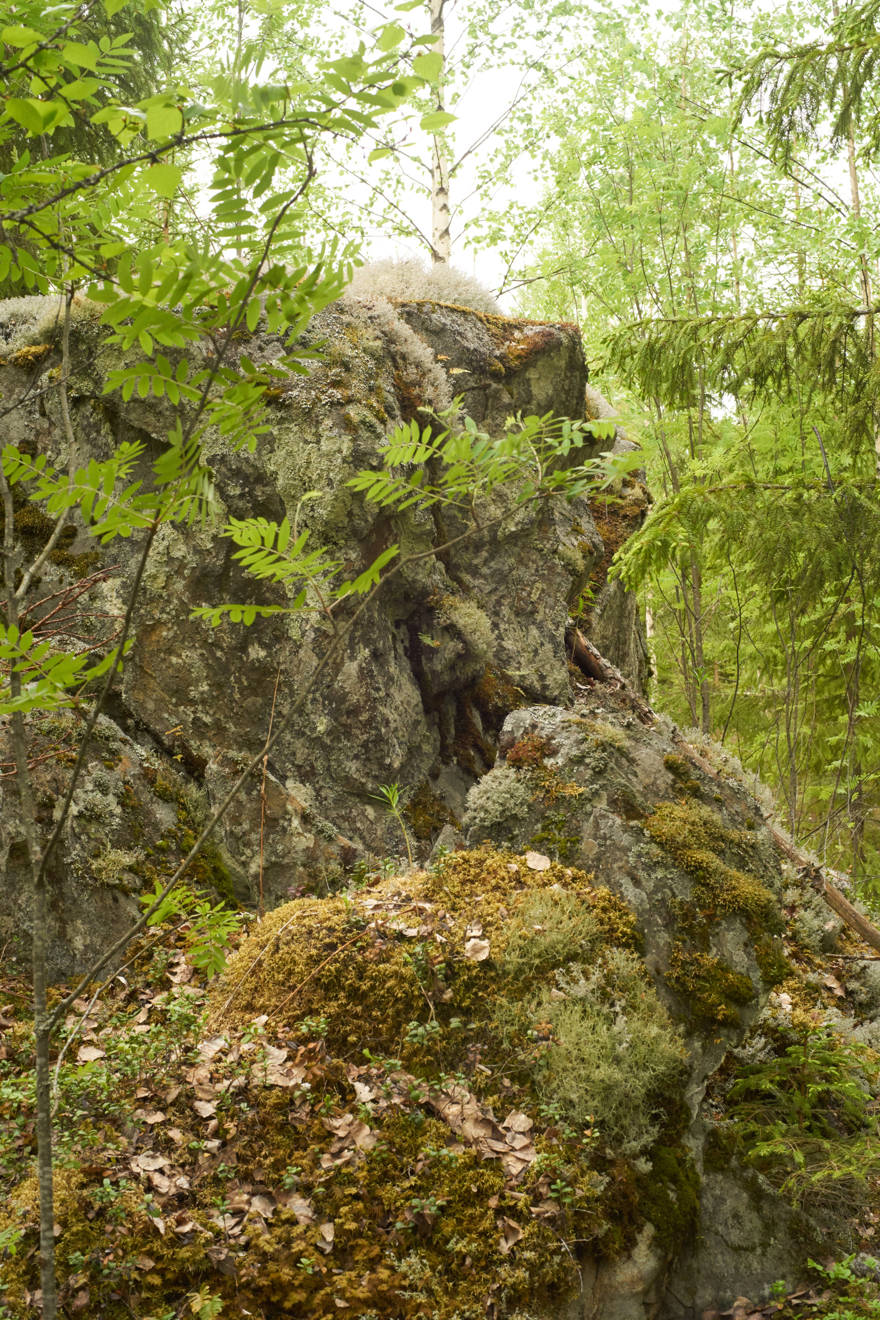 ArtStation - Nordic Rocks and Bedrock - Photopack | Resources