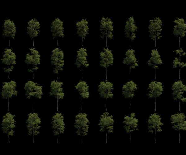 ArtStation - 58 Trees Alpha png | Resources