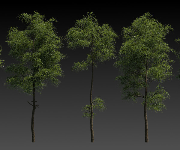 ArtStation - 58 Trees Alpha png | Resources