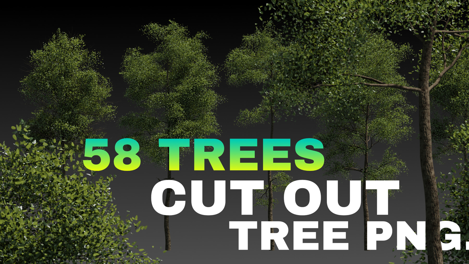 ArtStation - 58 Trees Alpha png | Resources
