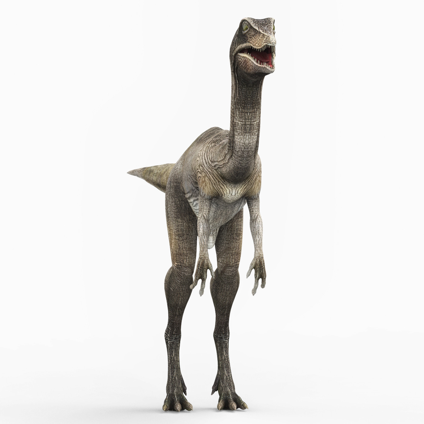 ArtStation - Compsognathus Dinosaur | Resources