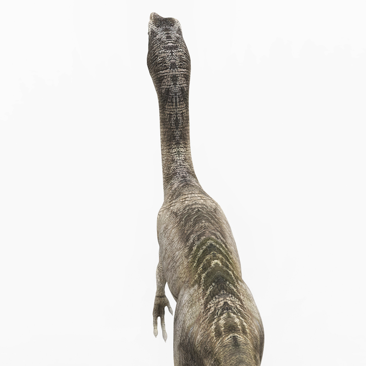 ArtStation - Compsognathus Dinosaur | Resources