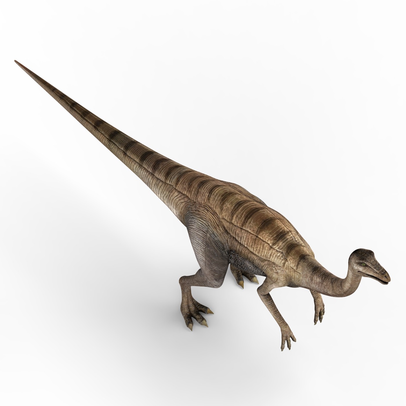 ArtStation - Gallimimus Dinosaur | Resources