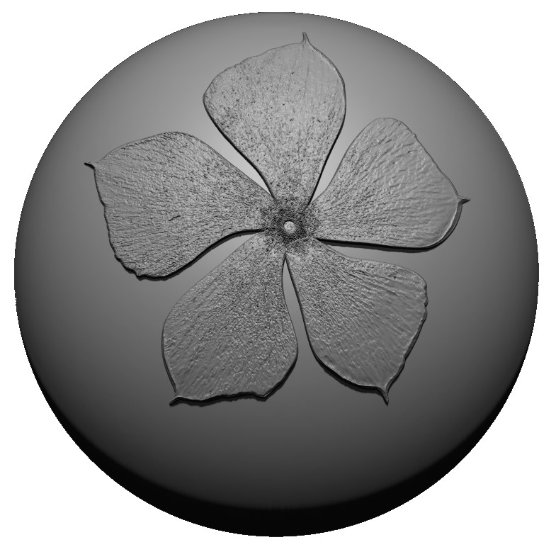 ArtStation - Flower Alphas Volume 01 | Brushes