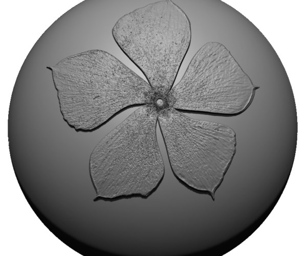 ArtStation - Flower Alphas Volume 01 | Brushes