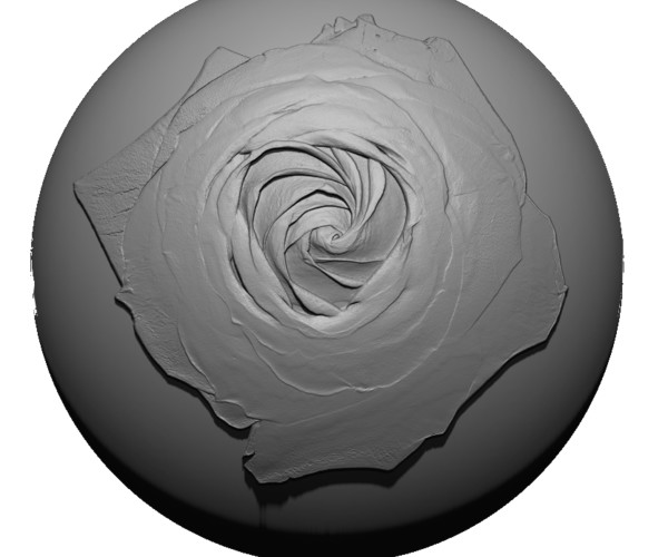 ArtStation - Flower Alphas Volume 01 | Brushes