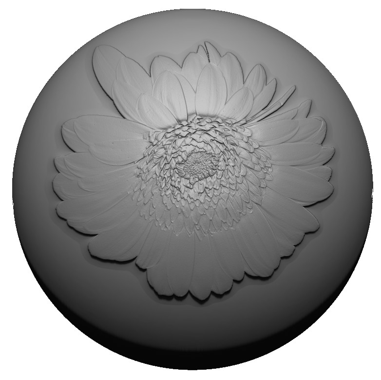 ArtStation - Flower Alphas Volume 01 | Brushes