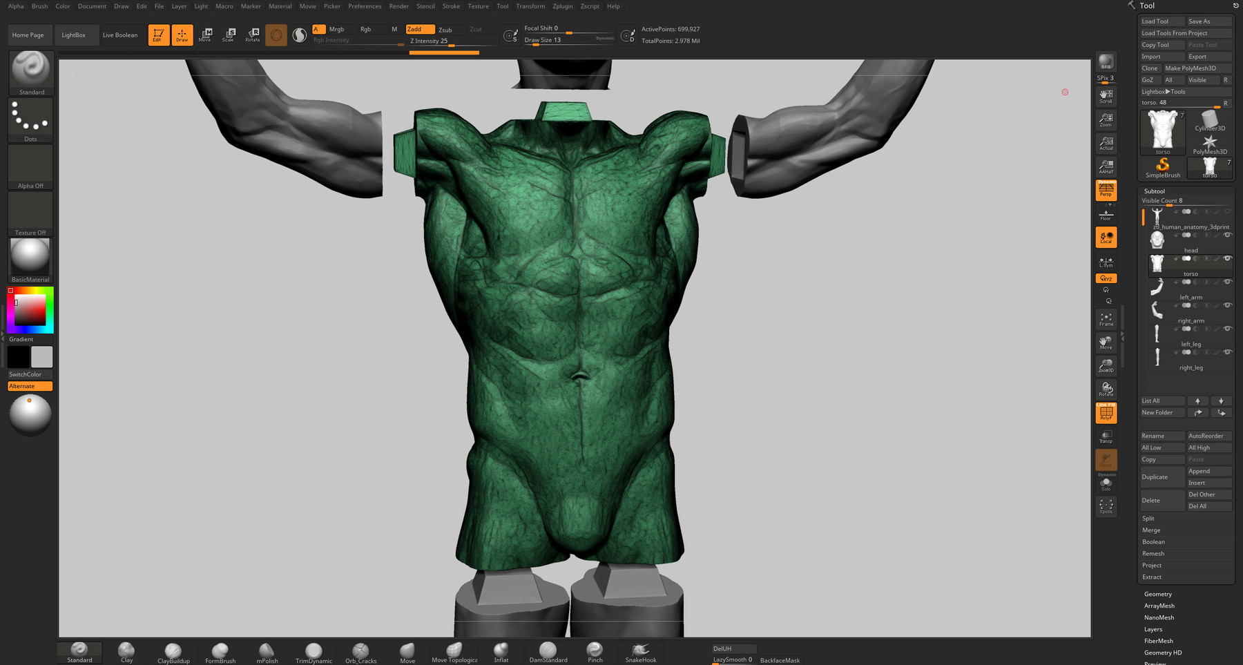 ArtStation - Human Anatomy v2 | Resources