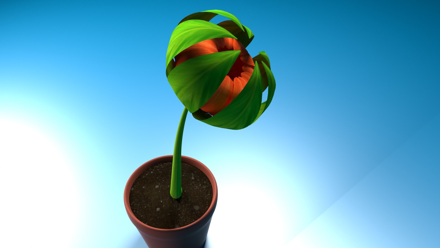 ArtStation - Orange Flower Animated | Game Assets