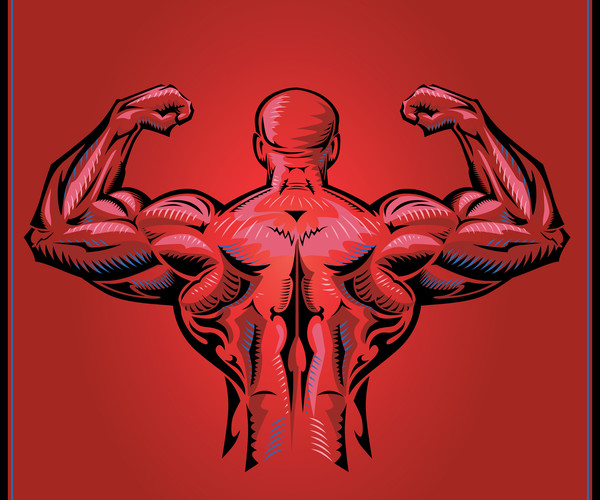 ArtStation - Vector Bodybuilder - Back View | Artworks