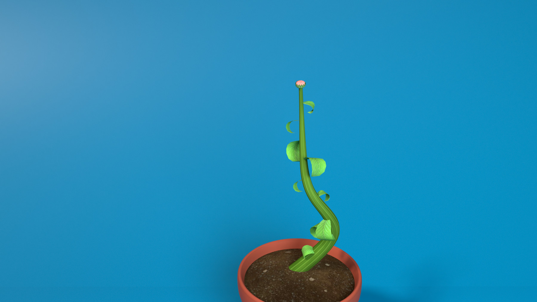 ArtStation - Daisy Flower Animated | Game Assets