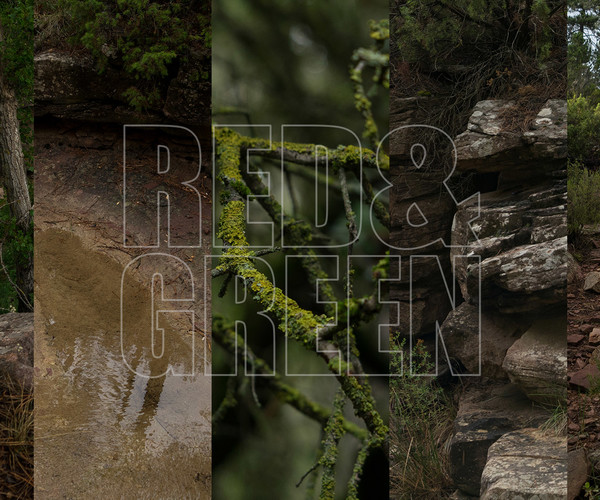 ArtStation - Red & Green | Resources