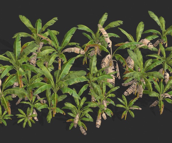 ArtStation - Banana Trees Collection | Game Assets